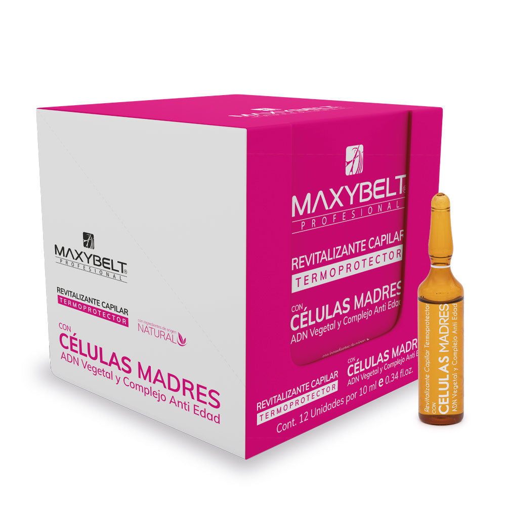 Maxybelt Ampollas Células Madres Revitalizante – The Beauty Shop